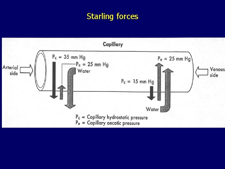 Disturbances of body fluids Renata Pov Dept of