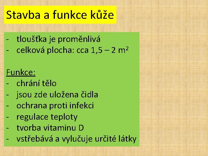 Soustava kon Stavba a funkce ke tlouka je