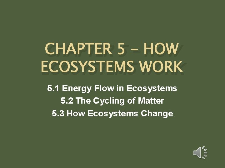 CHAPTER 5 HOW ECOSYSTEMS WORK 5 1 Energy