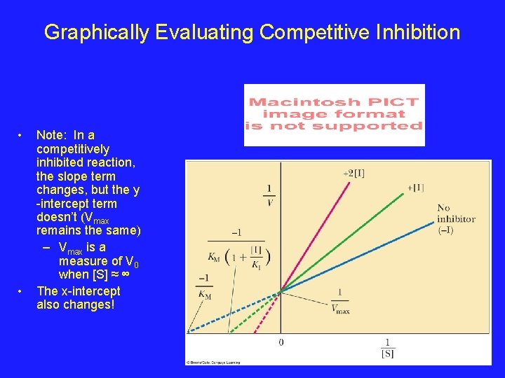 Enzyme Inhibition An inhibitor of an enzyme slows