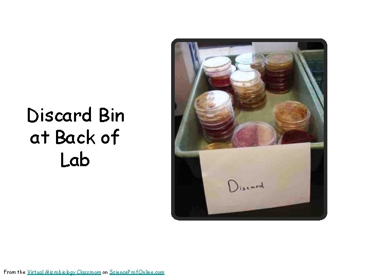 About Science Prof Online Power Point Resources Science