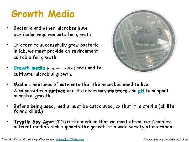 About Science Prof Online Power Point Resources Science