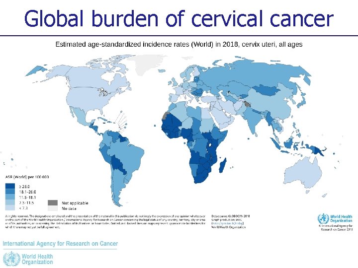Global epidemiology of Cervical Cancer and other the