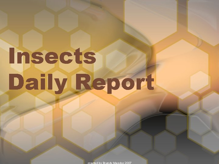 Insects Daily Report Insects are living things Insects