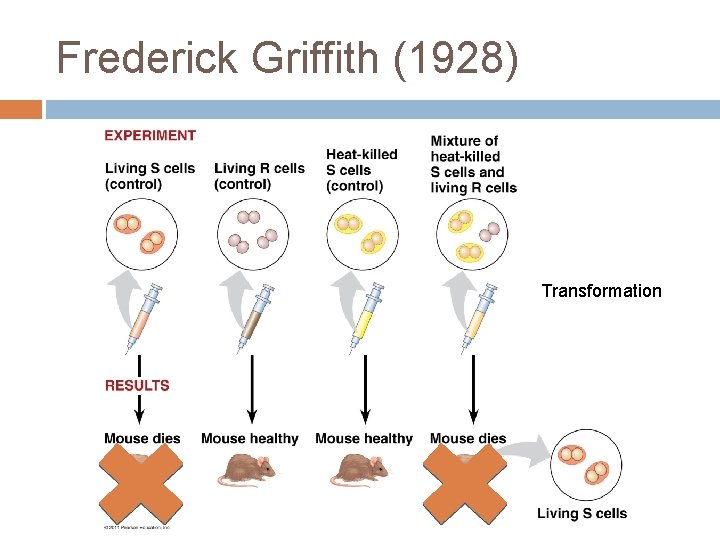 Ch 16 WarmUp 1 Draw and label a