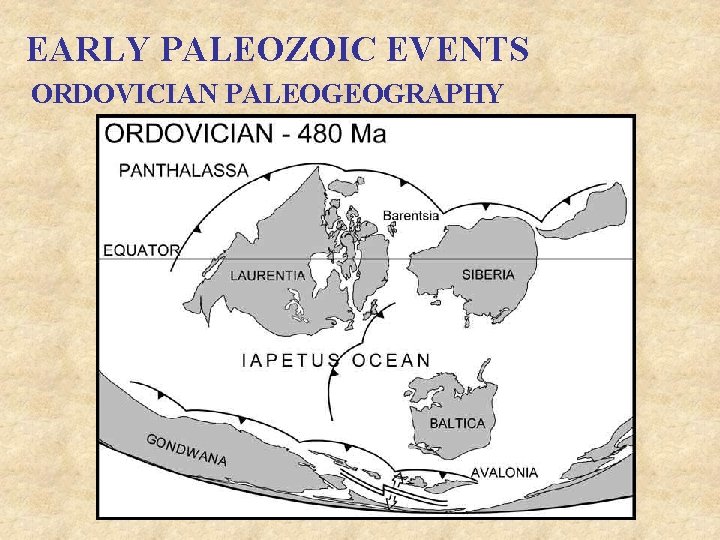 EARLY PALEOZOIC EVENTS CAMBRIAN PALEOGEOGRAPHY Development of a