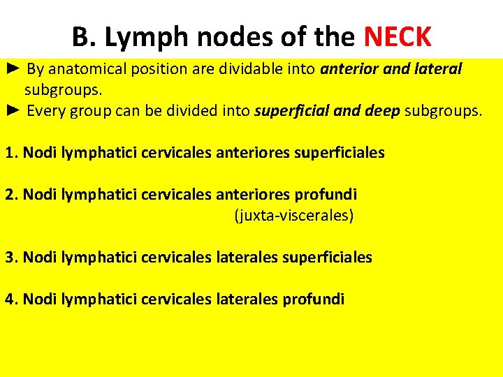 LYMPH NODES Prof Peter Stanko MD Ph D