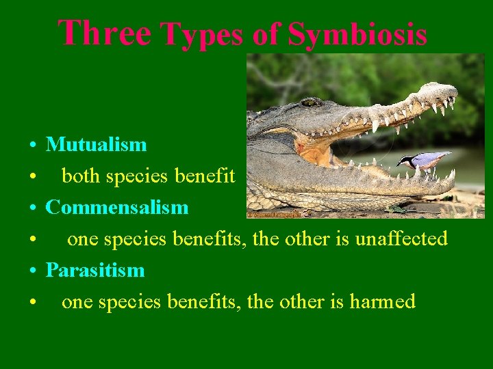 Symbiosis Living Together Three Types of Symbiosis Mutualism