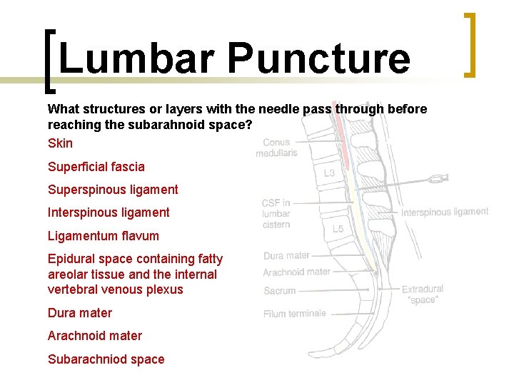 SPM 200 Clinical Skills Lab 5 Lumbar Puncture