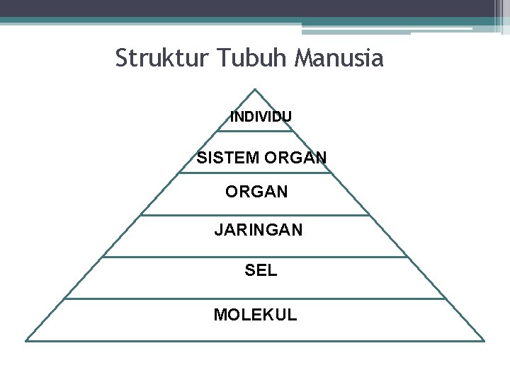 ORGANISASI TUBUH MANUSIA oleh Nurhalina PENGANTAR ANATOMI KATA