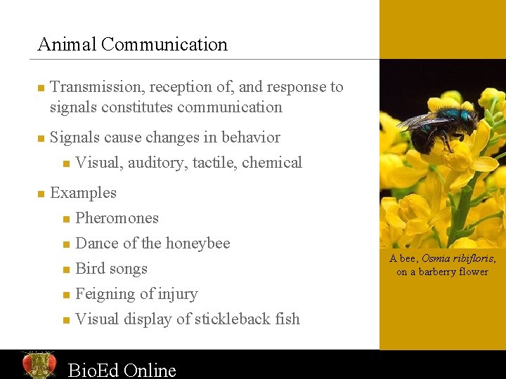 Diversity of Life Introduction to Animal Behavior By