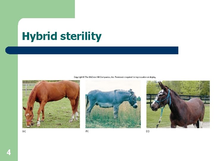 Power Point to accompany CONCEPTS IN BIOLOGY TWELFTH