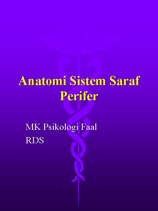 Anatomi Sistem Saraf Perifer MK Psikologi Faal RDS