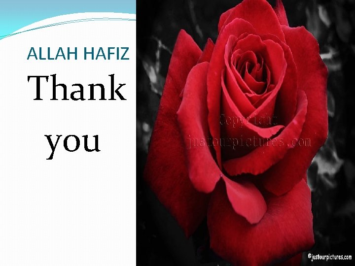 IN THE NAME OF ALLAH THE MOST BENIFICENT