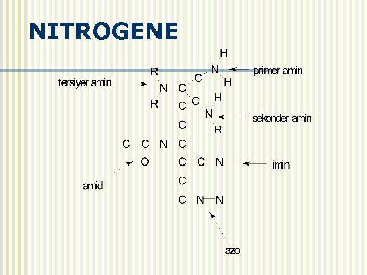 Phase I reactions in Drug Metabolism Phases of