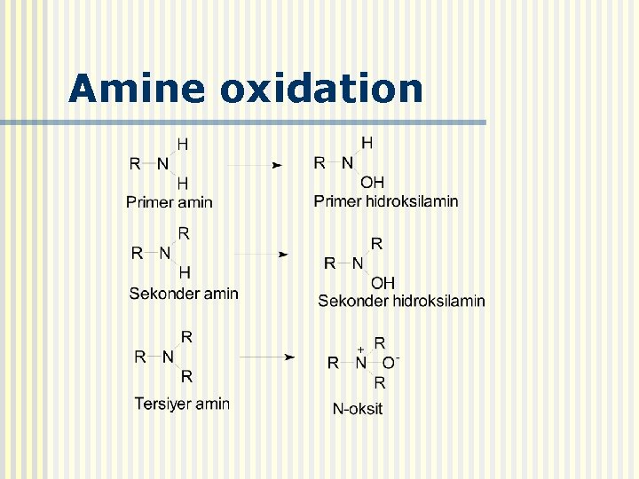 Phase I reactions in Drug Metabolism Phases of