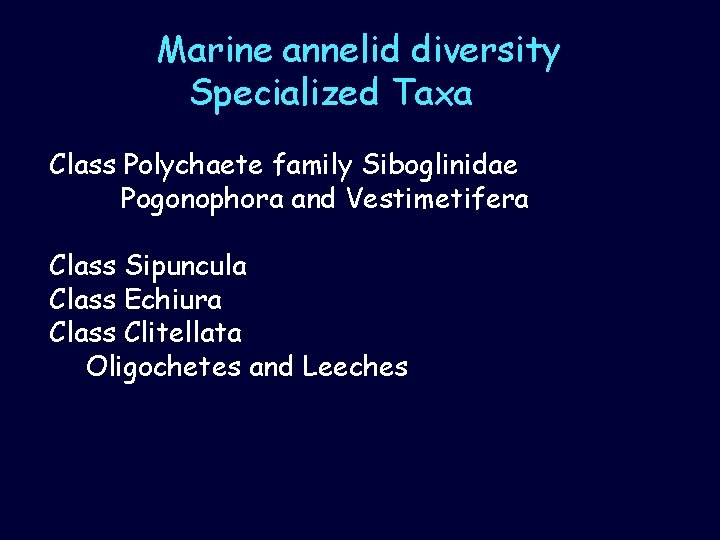 Marine annelid diversity Specialized Taxa Class Polychaete family