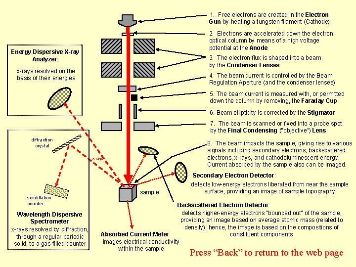 1 Free electrons are created in the Electron