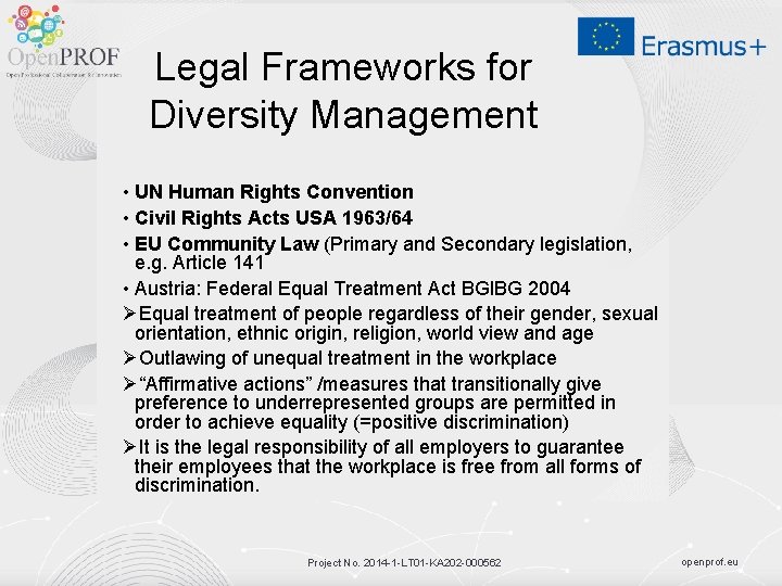 Diversity in Organisationen Managing Diversity an introduction Project