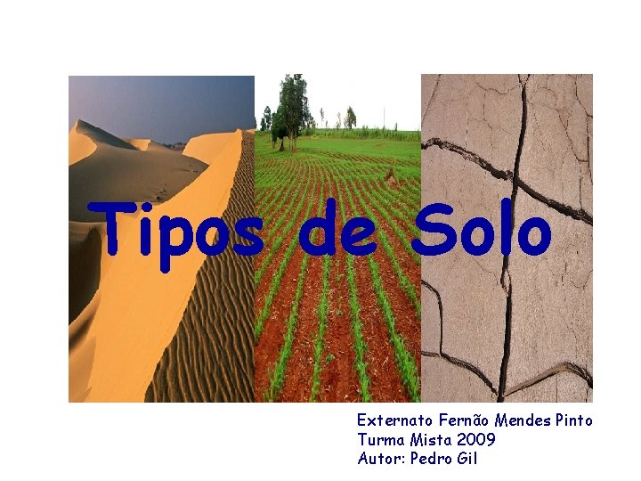 Tipos de Solo Externato Ferno Mendes Pinto Turma
