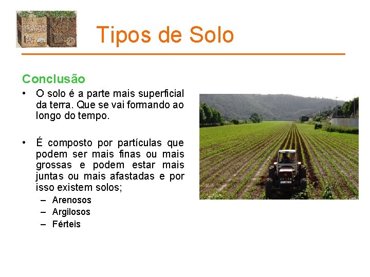 Tipos de Solo Externato Ferno Mendes Pinto Turma