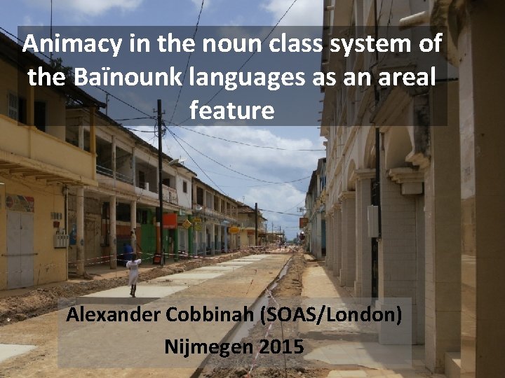 Animacy in the noun class system of the