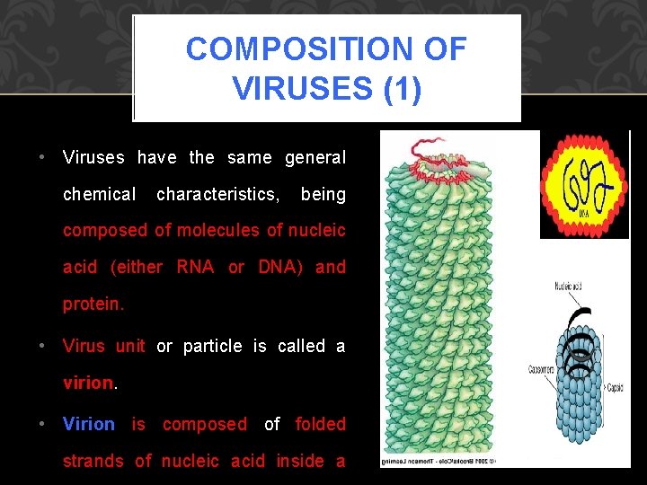 Introduction to Virology WHAT ARE VIRUSES Acellular organisms