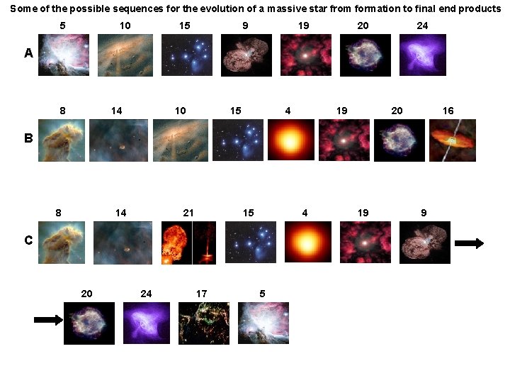 Place the following images in a sequence to