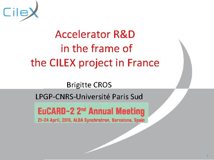 Accelerator RD in the frame of the CILEX