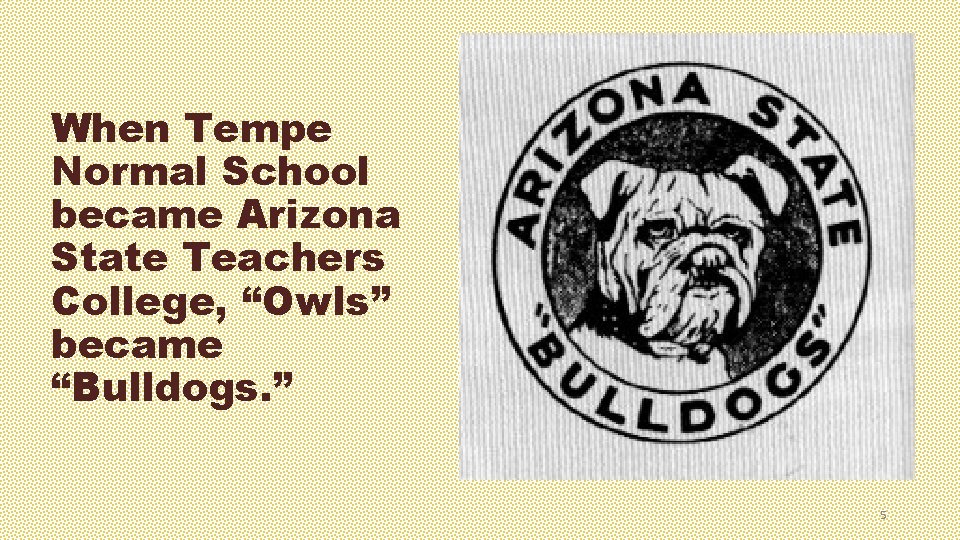 History of Sparky Kimberly Robinson 1 Tempe Normal