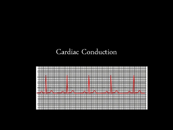 Cardiac Conduction Physiology of Cardiac Conduction The excitatory