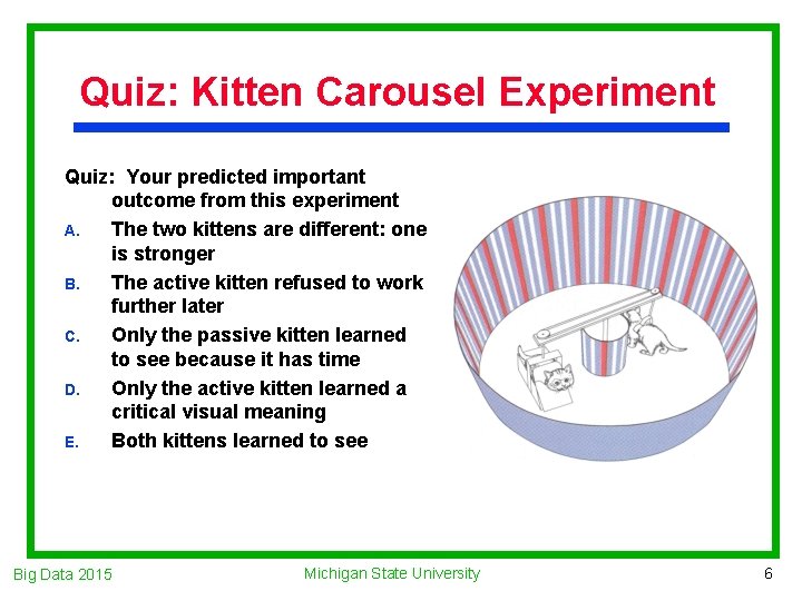 Introduction to How Brains Deal with Big Data