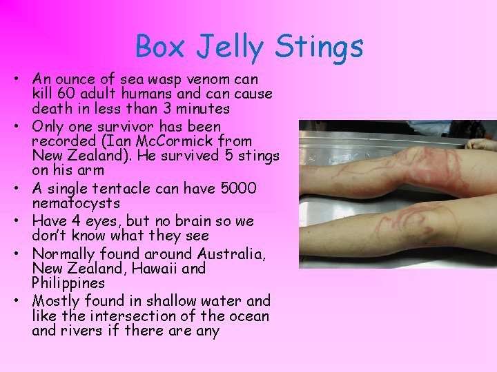 What is Cnidarian Marine Invertebrates 9 000 species