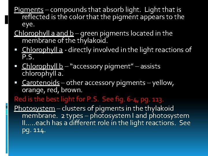 CHAPTER 6 PHOTOSYNTHESIS Photosynthesis Process by which some