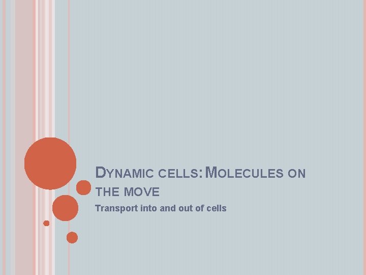 DYNAMIC CELLS MOLECULES ON THE MOVE Transport into