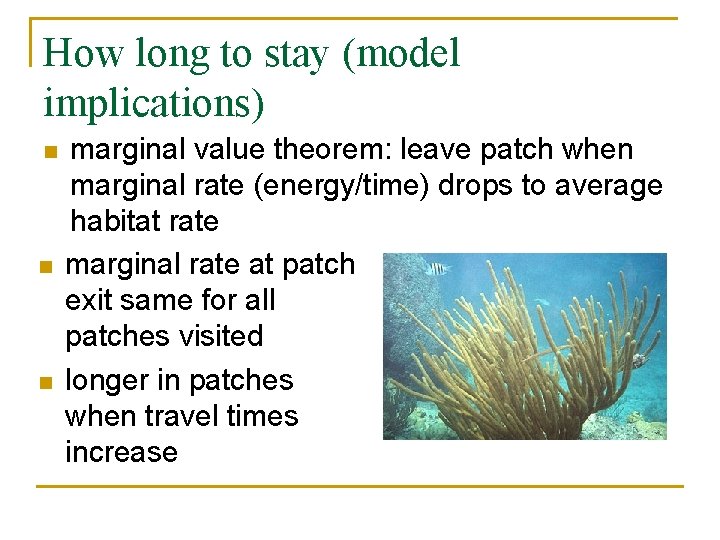 Foraging Strategies of Homo Criminalis Lessons From Behavioral
