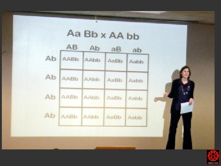 Geoset 1 G Student Feedback Houston The rapid