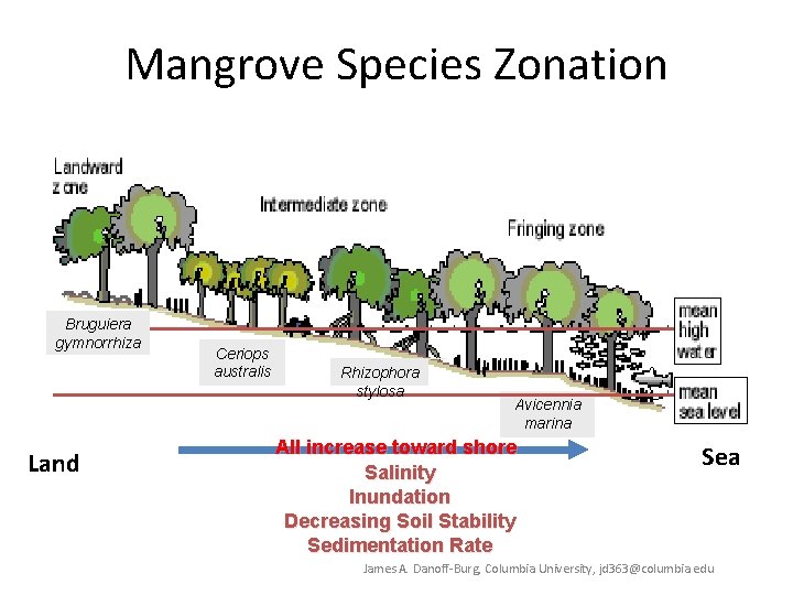 Lecture On Generation of Mangrove Maps Training Course