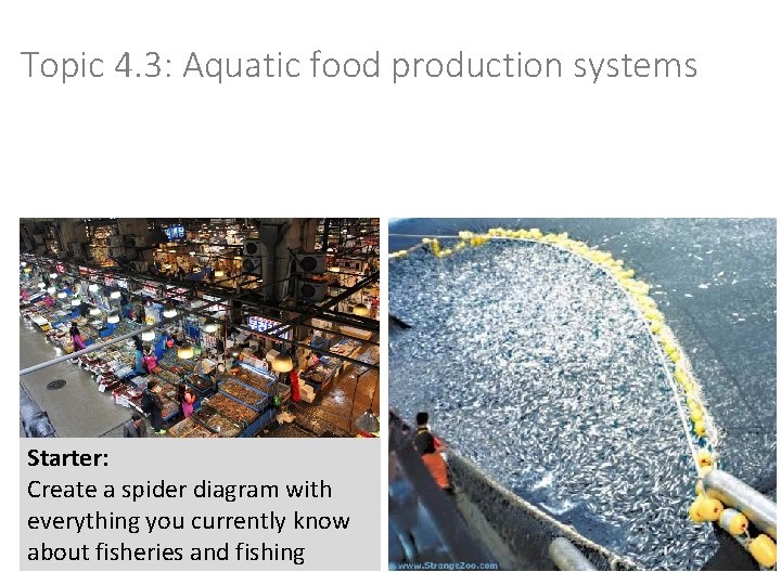 Topic 4 3 Aquatic food production systems Starter