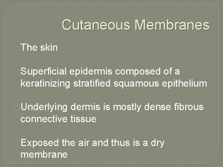 Chapter 4 Skin and Body Membranes Objective Checklist