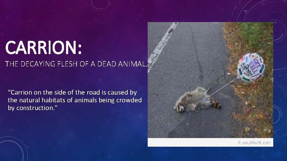 ROMEO JULIET UNIT VOCABULARY ABATE TO BECOME LESS