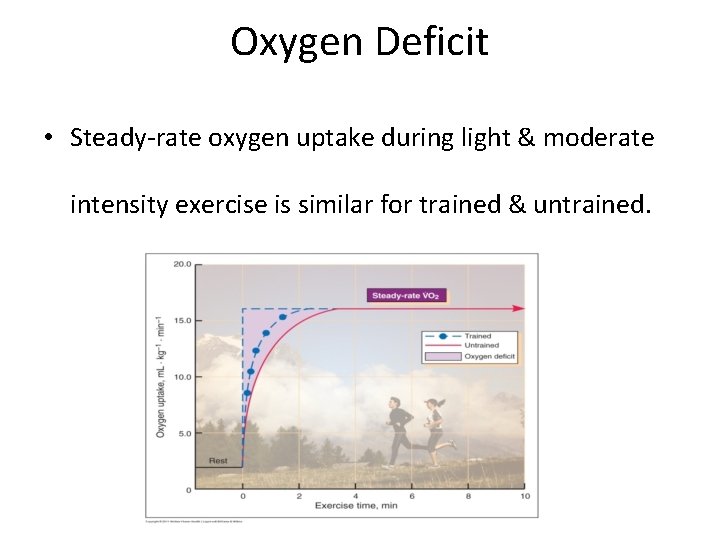 Exercise Metabolism The use of oxygen by cells