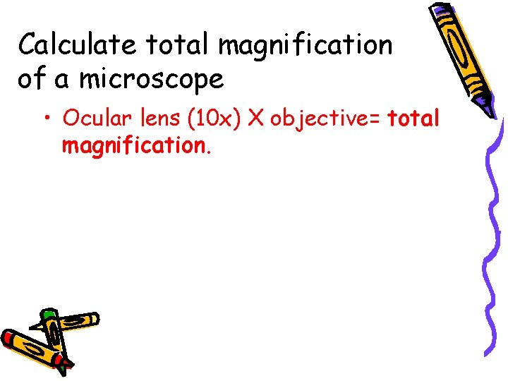 CP Biology Review Yea Steps in the Scientific