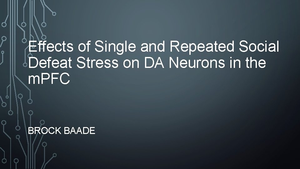 Effects of Single and Repeated Social Defeat Stress