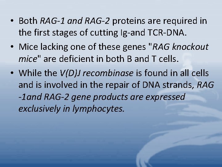 The genetic Basis of Ab Structure Introduction The