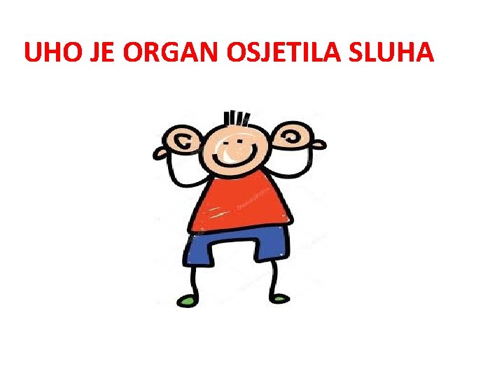 UHO OSJETILO SLUHA Nastavni predmet biologija u struci