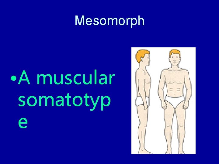 Body Composition Chapter 9 Do Now Intro to