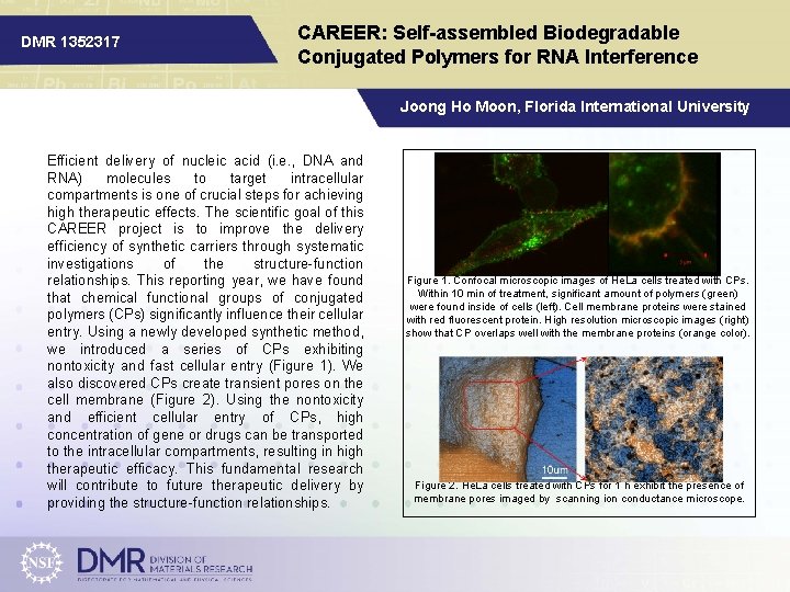DMR 1352317 CAREER Selfassembled Biodegradable Conjugated Polymers for