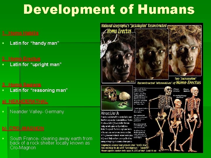 Living in the Stone Age Examining History What