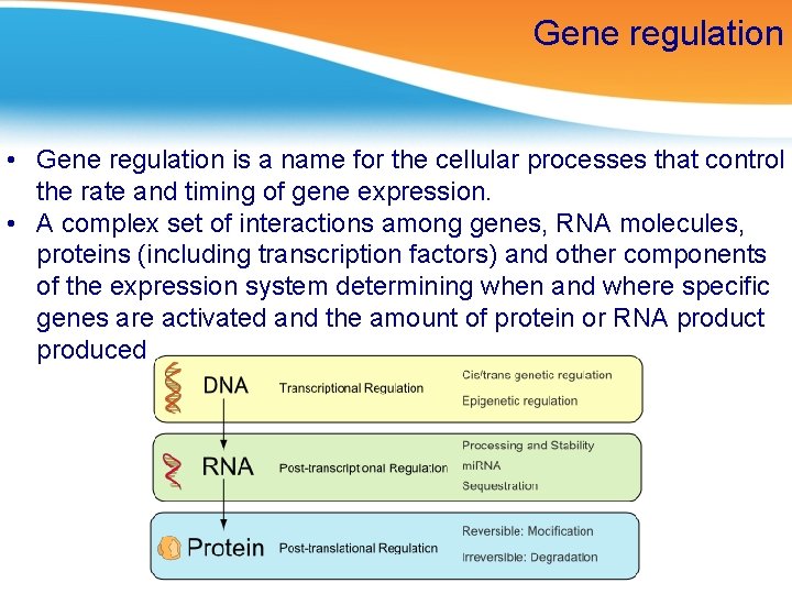 From biological experimental data to regulatory and interaction